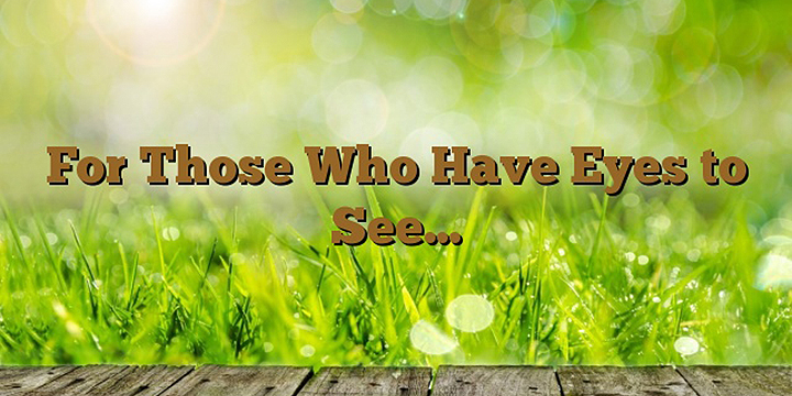 Watchman | FOR THE LOVE OF GOD