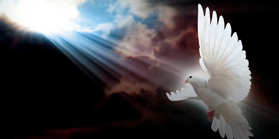 The Wind of The Spirit | FOR THE LOVE OF GOD