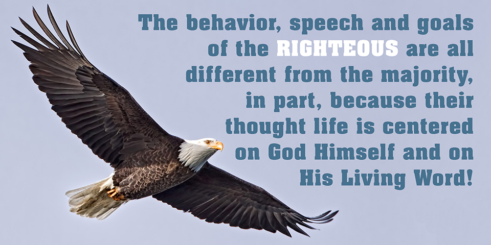 Centered On God Himself! | FOR THE LOVE OF GOD