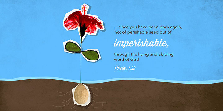 The Incorruptible Seed | FOR THE LOVE OF GOD